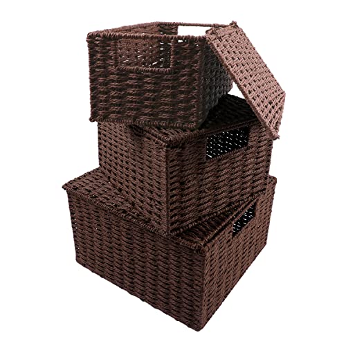 Handwoven Wicker Storage Baskets with Lids, Natural Seagrass Shelf Basket for Organizing, Rattan Storage Bins with Handles Lid for Pantry Shelves/Bathroom/Living Room- Set of 3(Small Medium Large)