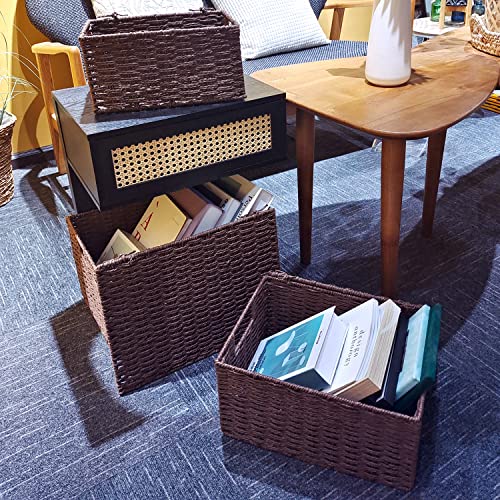 Handwoven Wicker Storage Baskets with Lids, Natural Seagrass Shelf Basket for Organizing, Rattan Storage Bins with Handles Lid for Pantry Shelves/Bathroom/Living Room- Set of 3(Small Medium Large)