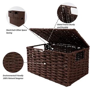 Handwoven Wicker Storage Baskets with Lids, Natural Seagrass Shelf Basket for Organizing, Rattan Storage Bins with Handles Lid for Pantry Shelves/Bathroom/Living Room- Set of 3(Small Medium Large)