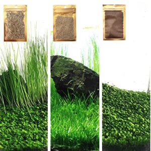 3 fresh water live plant seeeds for aquarium and fish tank, 3 different aquatic plant decor water grass dwarf mini tiny leaves hair grass seeed (0.36oztiny+0.36oz long+0.36oz short) qwe