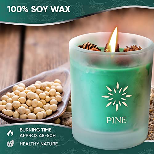 BrightWize Pine Candle Scented with 5 Real Pine Cones, Soy Candles, Scented with Green Leaves, Pine, Eucalyptus, Sage