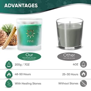 BrightWize Pine Candle Scented with 5 Real Pine Cones, Soy Candles, Scented with Green Leaves, Pine, Eucalyptus, Sage