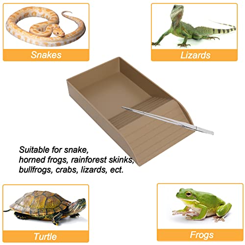 Reptile Feeding Dish with Ramp and Basking Platform Turtle Food Water Bowl Tortoise Ramp Bowl Amphibians Habitat Horned Frogs Lizards Fit for Bath, Included 1PC Forcep