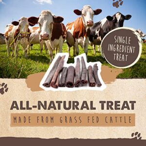 Mighty Paw Collagen Sticks for Dogs | Long Lasting Dog Chews. Rawhide Free Dog Chews Long Lasting. Collagen Chews for Dogs. Dog Chew Sticks. Beef Collagen Sticks for Dogs. Dog Chew Treats. (8 Pack)