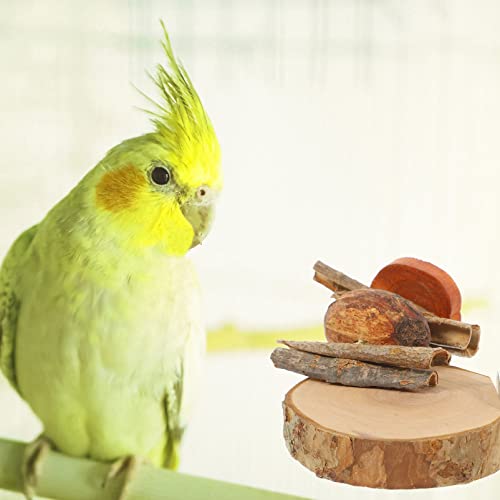 PATKAW Guinea Pig Natural Wooden Round Platform Bird Cage Branches Parrot Wooden Blocks Bird Nuts Toys for Budgie Conure Parrot Parakeet Cockatiel Lovebird Cage Accessories Rabbit Toys