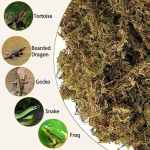 kathson Sphagnum Moss for Reptiles, 17.5 Oz Natural Dried Moss, Reptiles Peat Moss, Natural Sphagnum Moss, Frog Moss for Leopard, Long Fibered Dried Moss for Tortoise/Bearded Dragon/Snake/Lizard