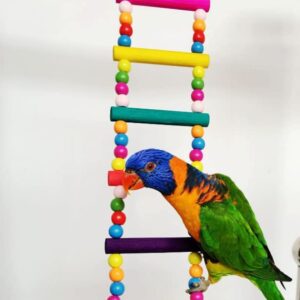 Bird Ladder Bridge, Parrot Toys Rainbow Swing Bridge Hammock Natural Raw Wood, Macaws Parakeets Lovebirds Chameleon Hamster for Training (32 Inch)