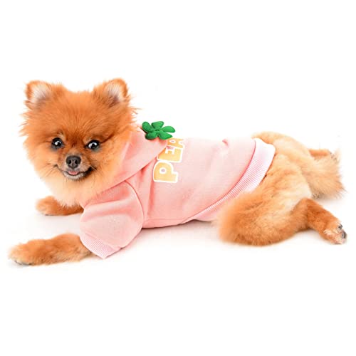 SMALLLEE_LUCKY_STORE Cute Fruits Puppy Fleece Pullover Hoodie Sweatshirt Sweater for Small Medium Dogs Cat Boy Girl Yorkie Chihuahua Kitten Warm Fall Winter Clothes,Pink,L