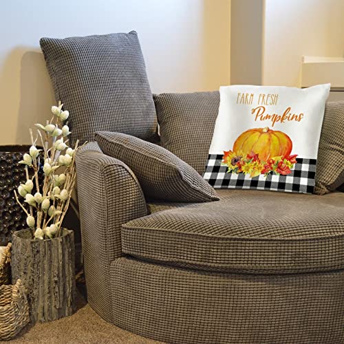 Fall Decor Pumpkins Decorative Pillow Autumn Decorations for Couch Sofa Bedroom Car Living Room Standard Size Satin Rustic Pillow Shams Zippered 18x18