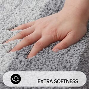 Vodiver Premium Bathroom Rugs Mat, Bath Mats for Bathroom Non Slip, Ultra Soft Washable and Super Absorbent Bath Rugs for Tub, Shower(20x32, Gray).