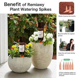 REMIAWY Plant Watering Stakes 6 Pack Automatic Plant Waterers for Vacations, Plant Watering Devices Terracotta Self Watering Spikes for Wine Bottles Great Watering Spikes for Indoor & Outdoor Plants