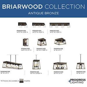 Progress Lighting P500178-020 Briarwood Hall & Foyer, Bronze