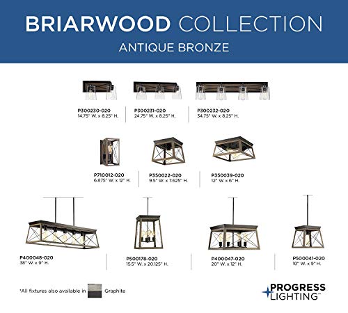 Progress Lighting P500178-020 Briarwood Hall & Foyer, Bronze