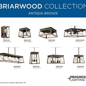 Progress Lighting P500178-020 Briarwood Hall & Foyer, Bronze