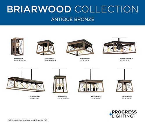 Progress Lighting P500178-020 Briarwood Hall & Foyer, Bronze