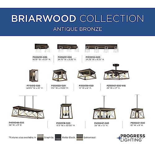 Progress Lighting P500178-020 Briarwood Hall & Foyer, Bronze