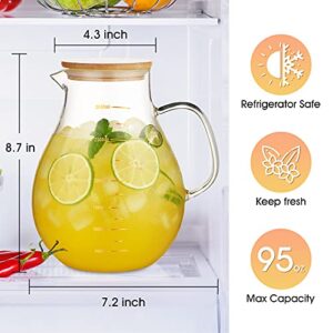 95 Ounce Large Glass Pitcher with Lid and Handle - Heat Resistant Borosilicate Beverage Carafe for Juice and Iced Tea