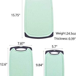 FLYINGSEA Cutting Boards For Kitchen, Anti-Skid Eco-Wheat Straw Vegetable Board Set (3 Pcs), Dishwasher Safe (Light green)