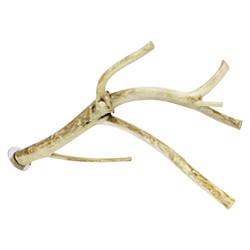 Multi-Branch Perch (Medium) - Durable Natural Climbing Branch Perch Cage Accessory - Sugar Gliders, Squirrels, Prairie Dogs, Degus, Marmosets, Monkeys, Parrots, Birds, Rats, Reptiles, Amphibians