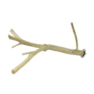 Multi-Branch Perch (Medium) - Durable Natural Climbing Branch Perch Cage Accessory - Sugar Gliders, Squirrels, Prairie Dogs, Degus, Marmosets, Monkeys, Parrots, Birds, Rats, Reptiles, Amphibians