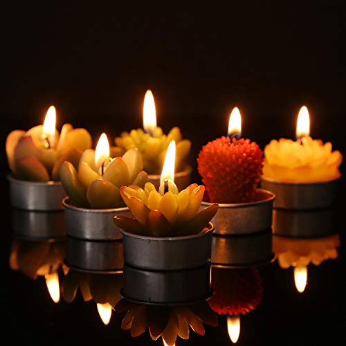 WANGMINGTU Succulent Cactus Tea Light Candles Unscented 6pcs Assorted for Birthday Party Favors Wedding Decor Gift Sets