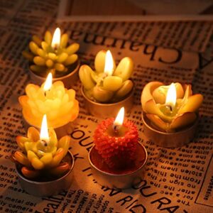 WANGMINGTU Succulent Cactus Tea Light Candles Unscented 6pcs Assorted for Birthday Party Favors Wedding Decor Gift Sets