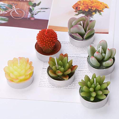 WANGMINGTU Succulent Cactus Tea Light Candles Unscented 6pcs Assorted for Birthday Party Favors Wedding Decor Gift Sets