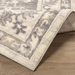 SUPERIOR Vintage Tilly Area Rug, 7' 10" x 10', Light Grey