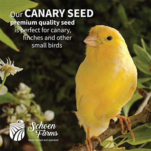 Schoen Farms Premium Canary Seed for Birds (5 LBS)