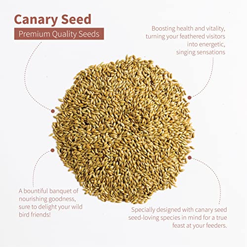 Schoen Farms Premium Canary Seed for Birds (5 LBS)