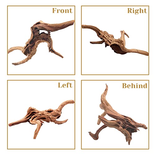 Tfwadmx Natural Driftwood for Aquarium, Reptile Branches Terrarium Wood Aquarium Trunk Driftwood Tree Fish Tank Log Decoration 2 Pcs