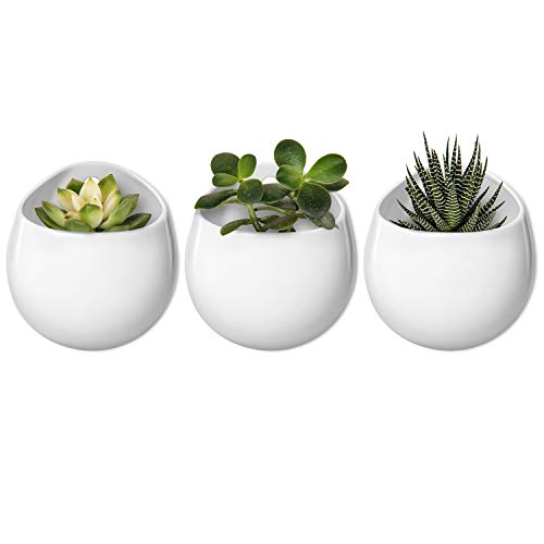 Mkono 4 Inch Wall Mounted Planter Round Ceramic Hanging Plant Holder Decorative Flower Display Vase Succulent Pots for Indoor Plants, Set of 3, White (Plants NOT Included)