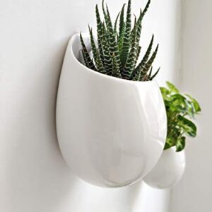 Mkono 4 Inch Wall Mounted Planter Round Ceramic Hanging Plant Holder Decorative Flower Display Vase Succulent Pots for Indoor Plants, Set of 3, White (Plants NOT Included)