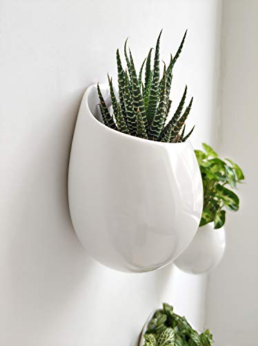 Mkono 4 Inch Wall Mounted Planter Round Ceramic Hanging Plant Holder Decorative Flower Display Vase Succulent Pots for Indoor Plants, Set of 3, White (Plants NOT Included)