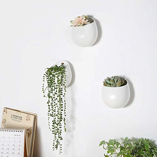 Mkono 4 Inch Wall Mounted Planter Round Ceramic Hanging Plant Holder Decorative Flower Display Vase Succulent Pots for Indoor Plants, Set of 3, White (Plants NOT Included)