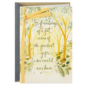 hallmark sympathy loss of pet card (friendship of a pet)