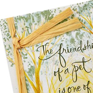 Hallmark Sympathy Loss of Pet Card (Friendship of A Pet)