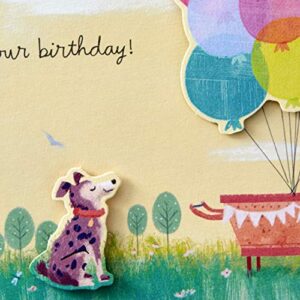 Hallmark Paper Wonder Pop Up Birthday Card (Get Carried Away)