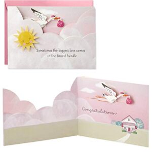 Hallmark Paper Wonder Paper Craft Baby Shower Card for Baby Girl (Stork), 4 X 5.5 Inches (499RZW1028)