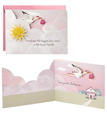 Hallmark Paper Wonder Paper Craft Baby Shower Card for Baby Girl (Stork), 4 X 5.5 Inches (499RZW1028)