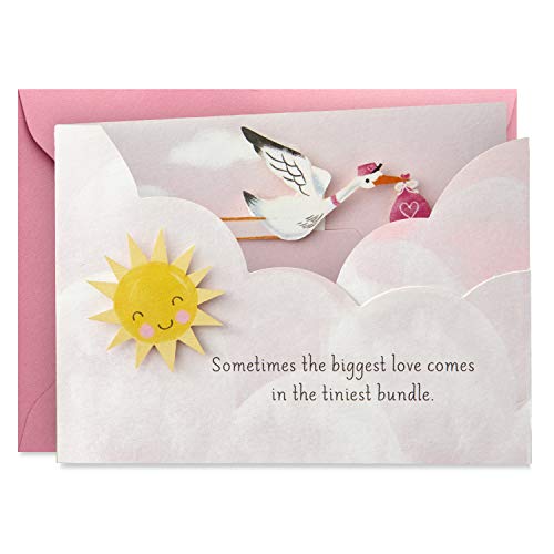 Hallmark Paper Wonder Paper Craft Baby Shower Card for Baby Girl (Stork), 4 X 5.5 Inches (499RZW1028)