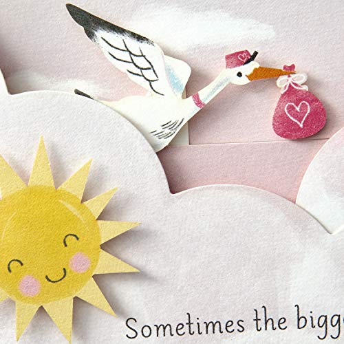 Hallmark Paper Wonder Paper Craft Baby Shower Card for Baby Girl (Stork), 4 X 5.5 Inches (499RZW1028)