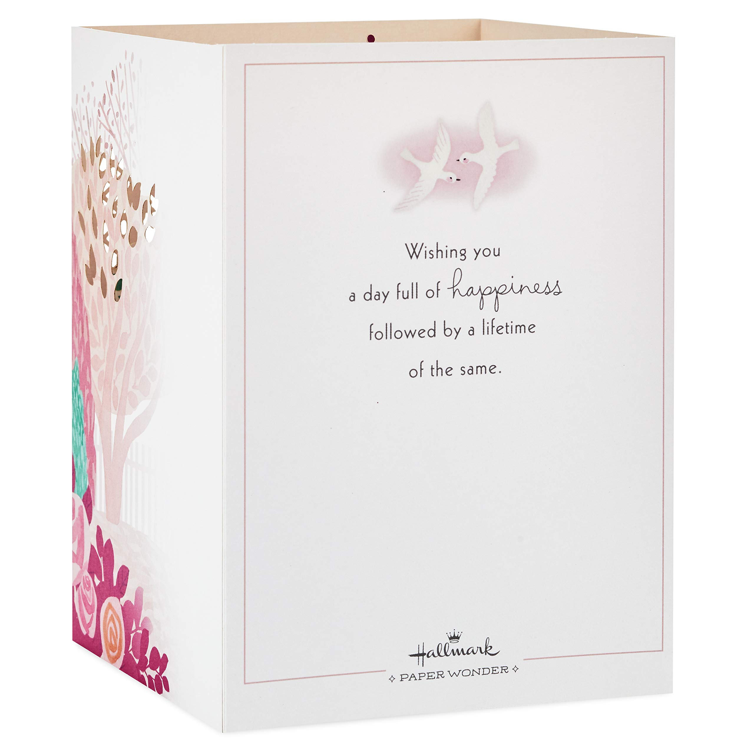 Hallmark Paper Wonder Displayable Pop Up Wedding Card (Have, Hold, Love, Last)