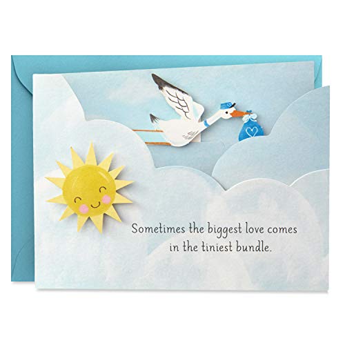 Hallmark Paper Wonder Paper Craft Baby Shower Card for Baby Boy (Stork) - 499RZW1027,4-x-5.5-inch