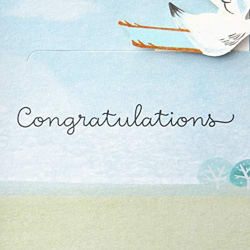 Hallmark Paper Wonder Paper Craft Baby Shower Card for Baby Boy (Stork) - 499RZW1027,4-x-5.5-inch