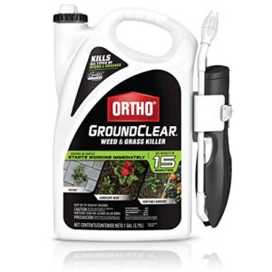 ortho groundclear weed & grass killer ready-to-use - grass weed killer spray, use in landscape beds, around vegetable gardens, on patios & more, broadleaf weed killer, see results in 15 minutes, 1 gal