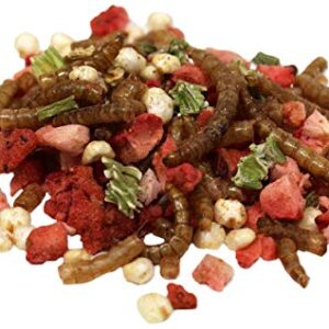 Sunseed Company 5 Pack of Wigglers and Berries, 2.5 Ounces Each, Trail Mix Treat for Hedgehogs