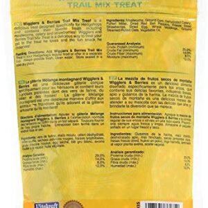 Sunseed Company 5 Pack of Wigglers and Berries, 2.5 Ounces Each, Trail Mix Treat for Hedgehogs