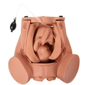 anatomy lab cesarean section simulator | c-section simulator permits abdominal incisions and removal of the baby | basic and realistic obstetric practice capabilities | has baby and 5 dilation models