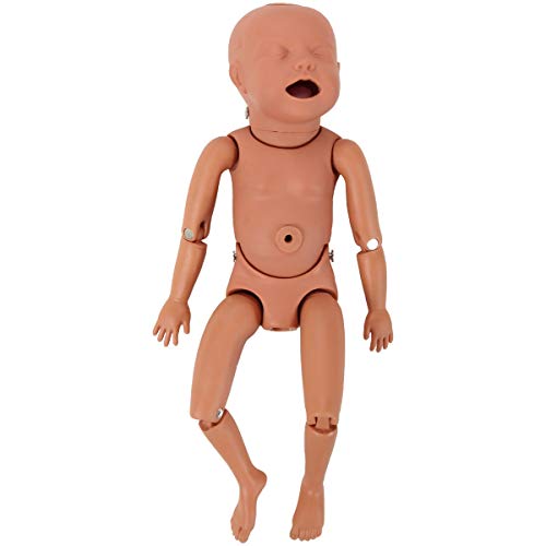 Anatomy Lab Cesarean Section Simulator | C-Section Simulator Permits Abdominal Incisions and Removal of the Baby | Basic and Realistic Obstetric Practice Capabilities | Has baby and 5 Dilation Models